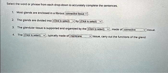 SOLVED: Texts: Select the word or phrase from each drop-down to ...