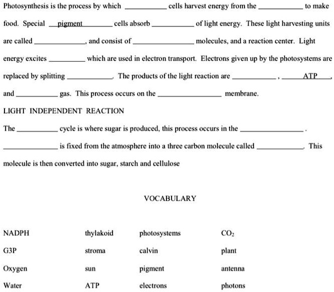 SOLVED: Photosynthesis is the process by which cells harvest energy ...