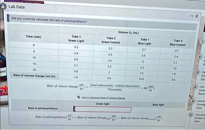 SOLVED: What is the rate of photosynthesis for both? Lab Data Did you correctly calculate the ...