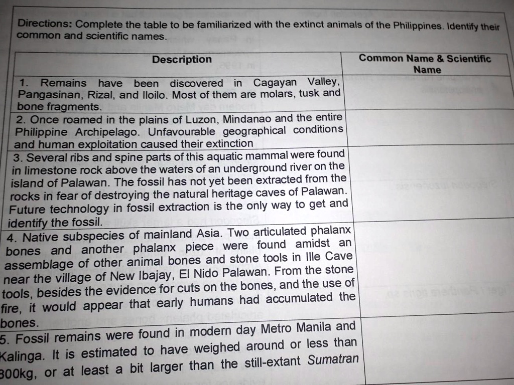 Common Name Scientific Name Remains have been discovered in Cagayan ...