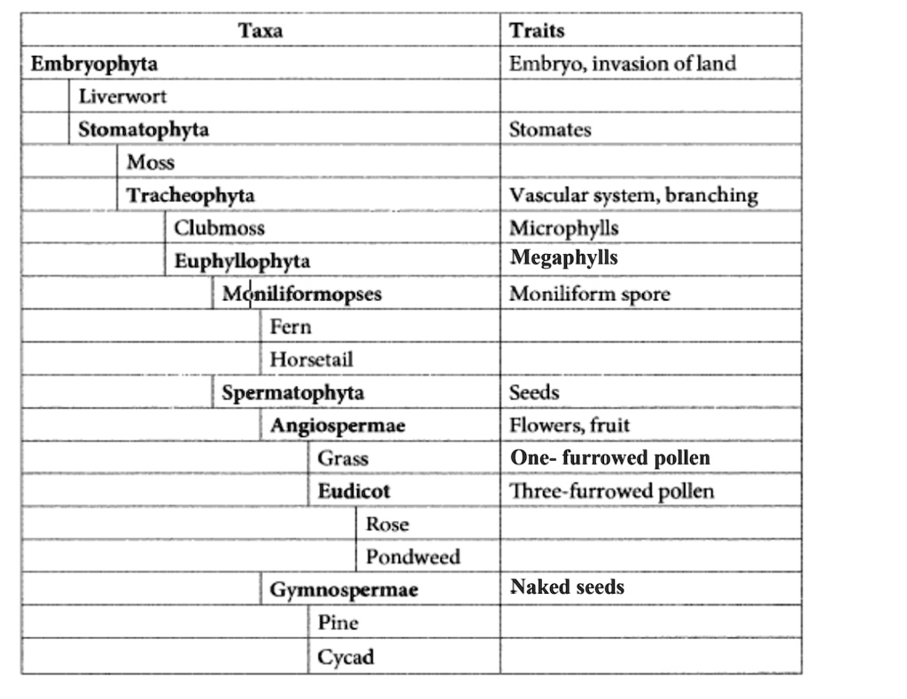 SOLVED: The table shows a classification of the land plants in indented ...