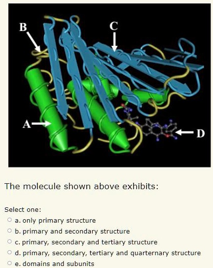 SOLVED: The molecule shown above exhibits: a. only primary structure b ...