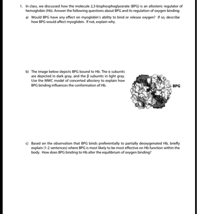 SOLVED: In class, we discussed how the molecule 2 3-bisphosphoglycerate (BPG) allosteric ...