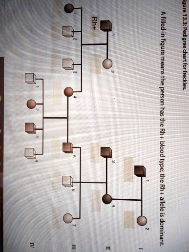 SOLVED: Juno filled-in figure means 13.3: Pedigree chart for freckles ...