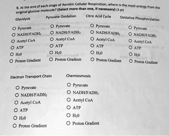 Solved Texts Pyruvate Oxidation Citric Acid Cycle Glycolysis Oxidative Phosphorylation 