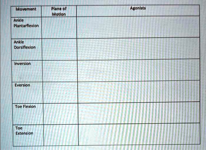 SOLVED: Movement Plane of Motion Agonists Ankle Plantarflexion Ankle ...