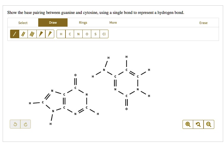 SOLVED: In 1953, James Watson and Francis Crick discovered that the ...