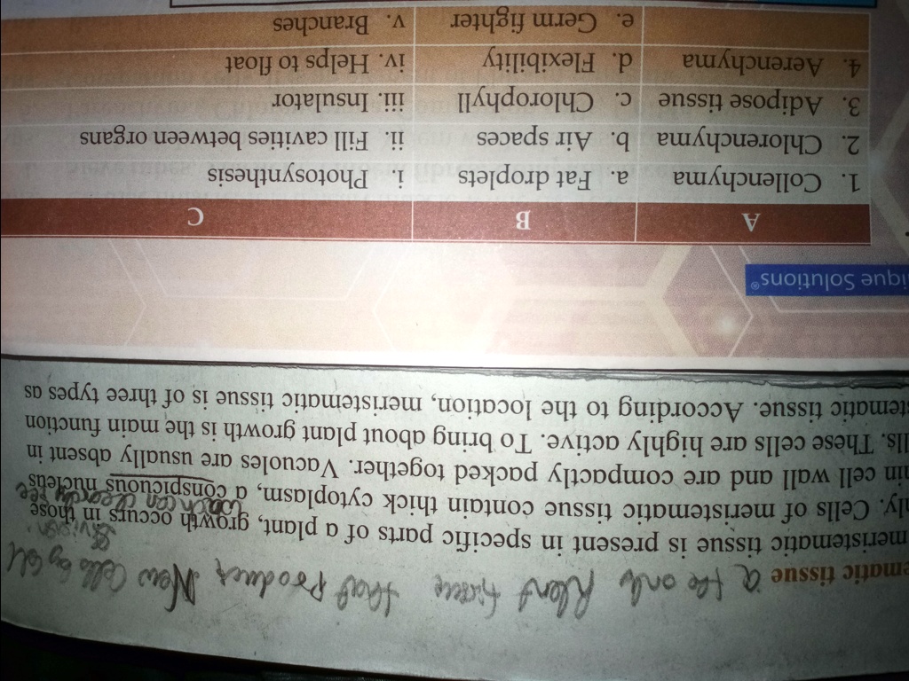 meristematic tissue is present in specific parts of a plant, growth ...