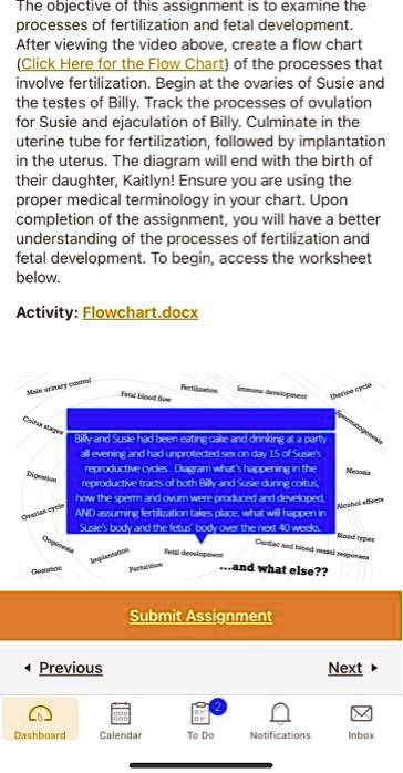The objective of this assignment is to examine the processes of ...
