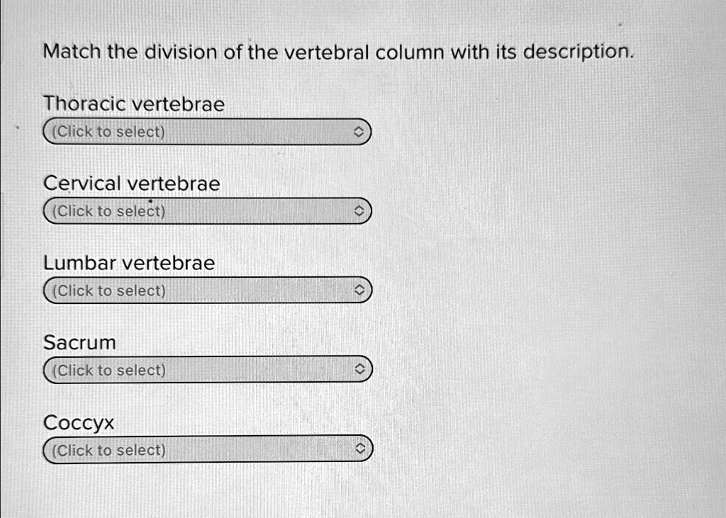 Match the division of the vertebral column with its description ...