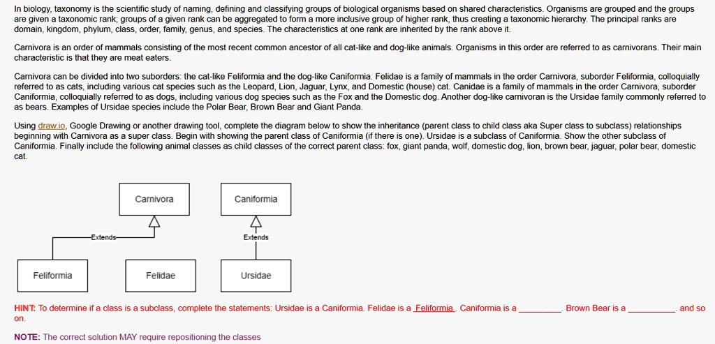i need a uml document for this in biology taxonomy is the scientific study of naming defining ...