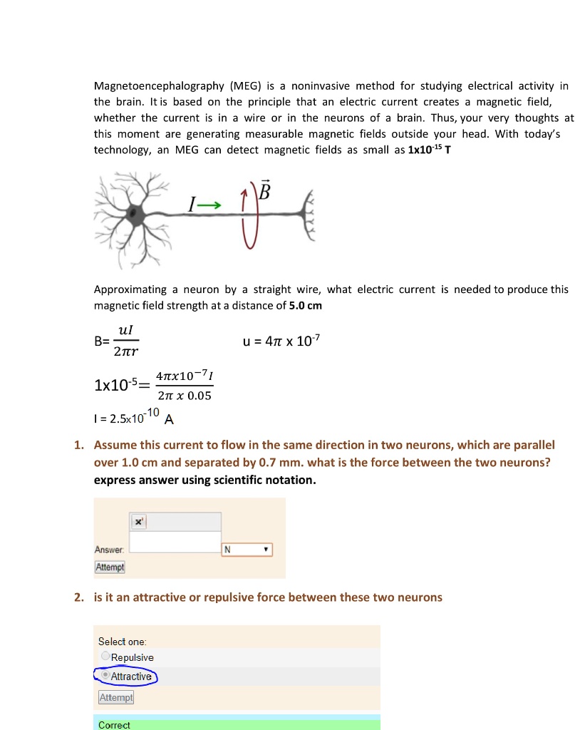 SOLVED: Magnetoencephalography (MEG) is noninvasive method for studying ...