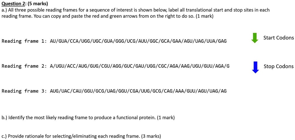 SOLVED: Question 2: (5 marks) a,) All three possible reading frames for ... SOLVED: Question 2: (5 marks) a,) All three possible reading frames for ...