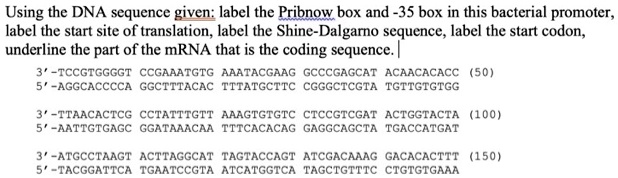 SOLVED: Using the DNA sequence given: label the Pribnow box and -35 box ...