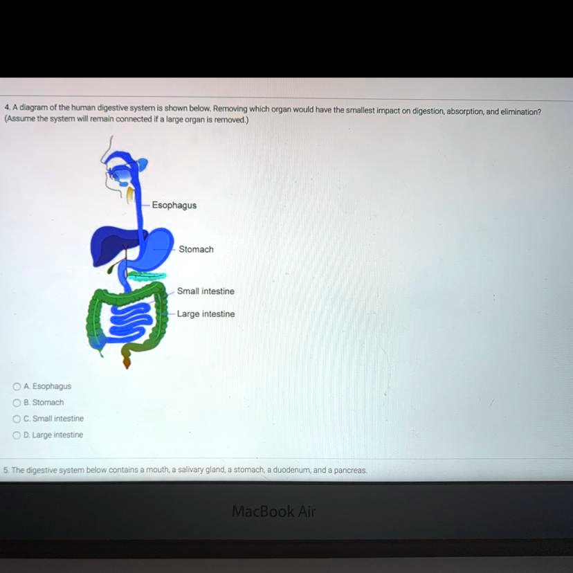 4. A diagram of the human digestive system is shown below. Removing ...