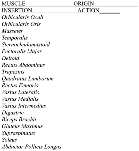 Quadratus Femoris Origin Insertion Action Nerve Slideshow: Anterior Thigh
