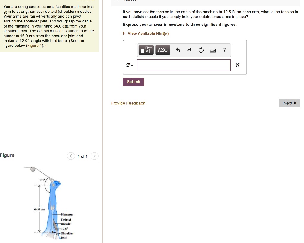 SOLVED: You are doing exercises on a Nautilus machine in the gym to ...