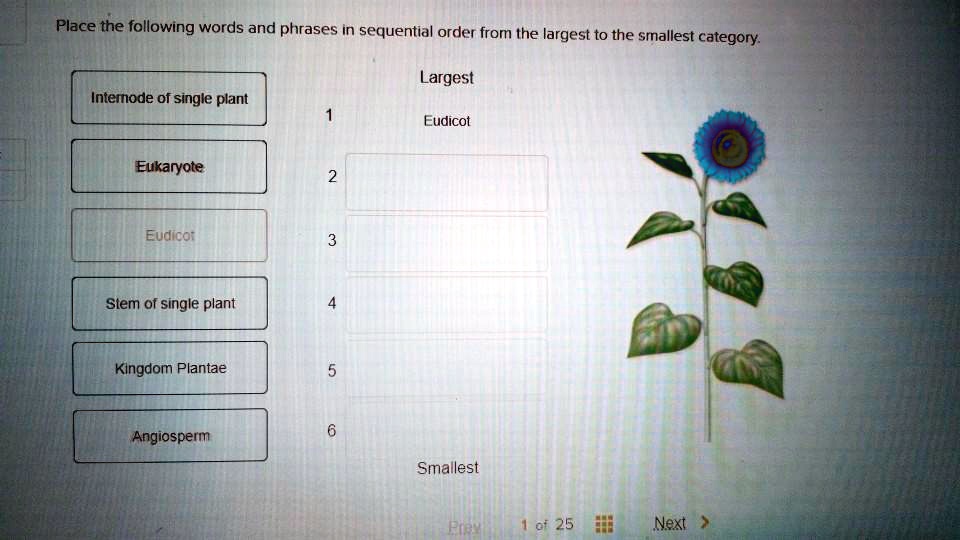 Place the following words and phrases in sequential order from the ...