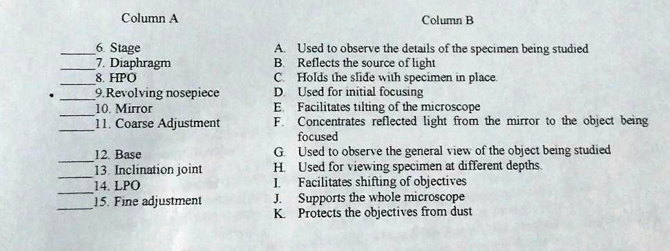 SOLVED: Matching Type: Match the parts of a Compound Microscope in column A to its corresponding ...