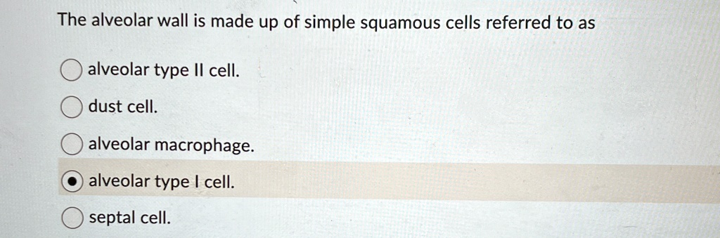The alveolar wall is made up of simple squamous cells referred to as ...