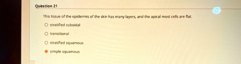 question 21 this tissue of the epidermis of the skin has many layers ...