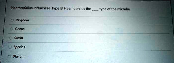 Haemophilus influenzae Type B Haemophilus the type of the microbe ...