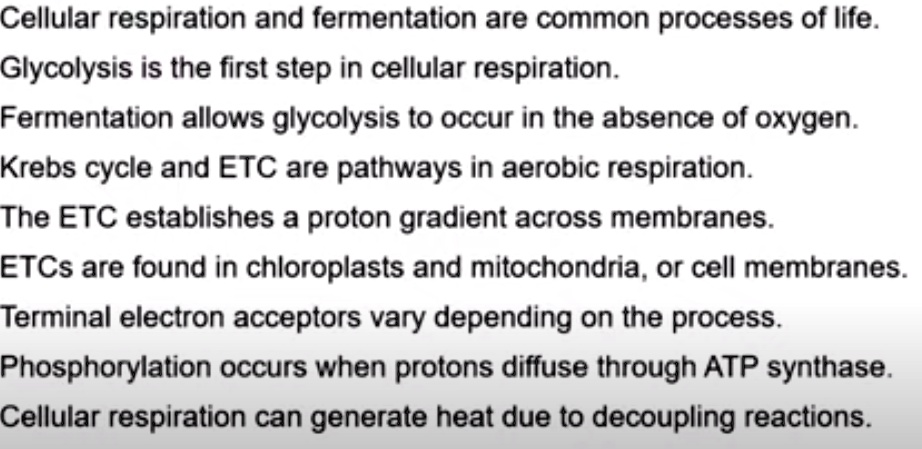 SOLVED: Cellular respiration and fermentation are common processes of life. Glycolysis is the ...