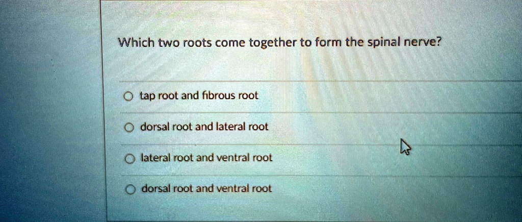 Which two roots come together to form the spinal nerve? tap root and ...