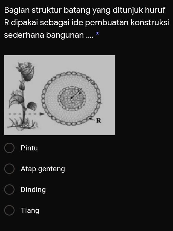 SOLVED: yang bisa tolong bantu yaa Bagian struktur batang yang ditunjuk ... SOLVED: yang bisa tolong bantu yaa Bagian struktur batang yang ditunjuk ...