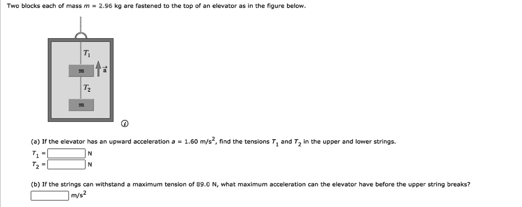 SOLVED: Two blocks each of mass m 2.56 kg are fastened to the top of an ... SOLVED: Two blocks each of mass m 2.56 kg are fastened to the top of an ...