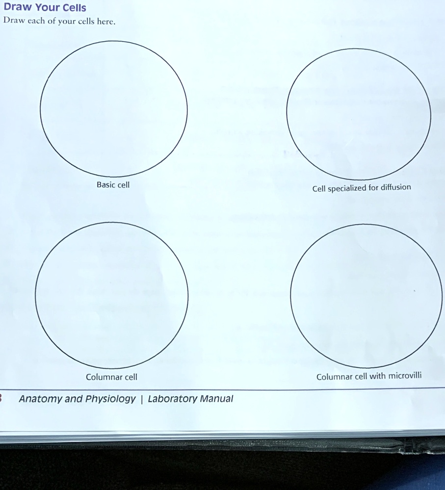 draw your cells draw each of your cells here basic cell cell ...
