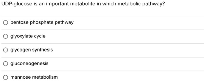 SOLVED: UDP-glucose is an important metabolite in which metabolic ...