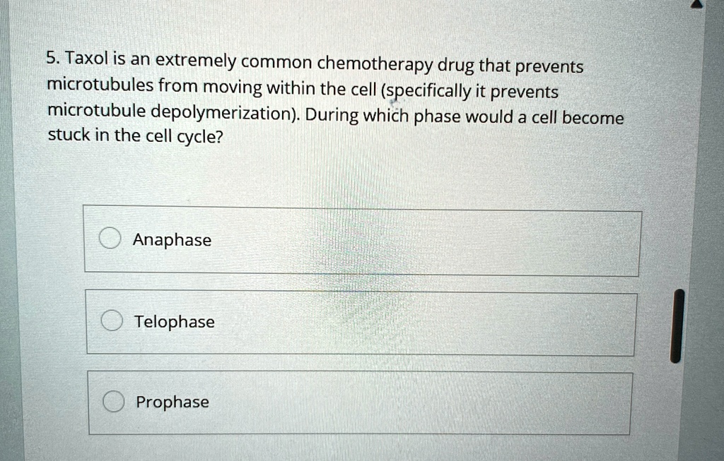 5 taxol is an extremely common chemotherapy drug that prevents ...