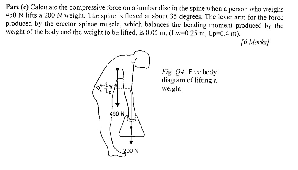 Part (c) Calculate the compressive force on a lumbar disc in the spine ...