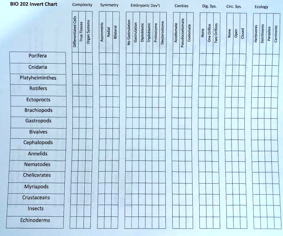 bio 202 invert chart complexity symmetry embryonic devt cavities dig ...