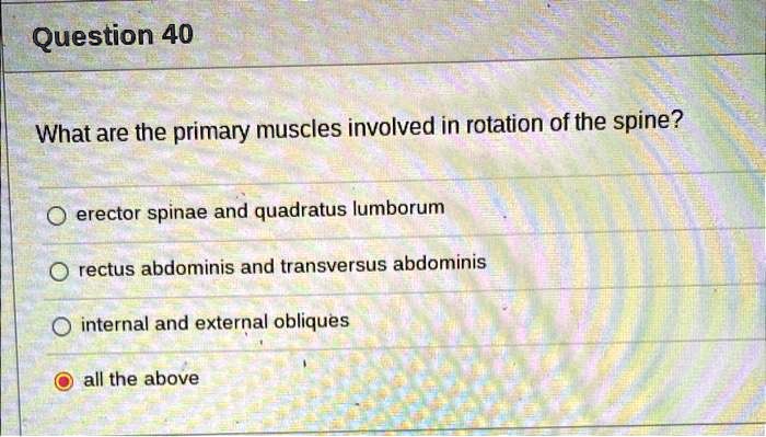 Question 40 What are the primary muscles involved in rotation of the ...