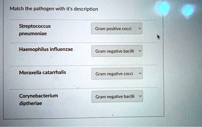 Match the pathogen with it's description Streptococcus pneumoniae Gram ...