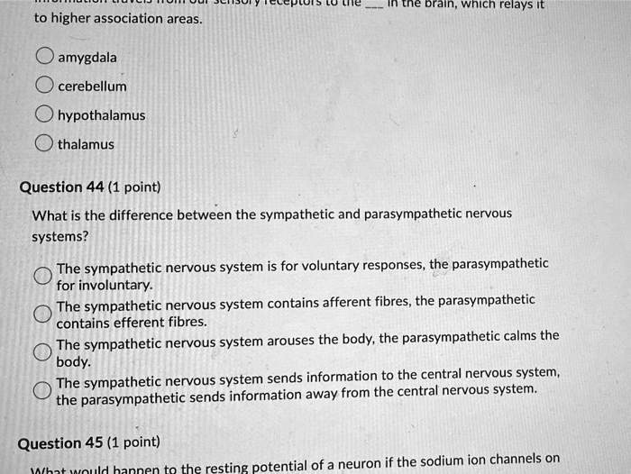 in the brain, which relays it to higher association areas. amygdala ...