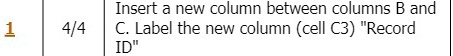 SOLVED: 'Insert a new column between columns B and C. Label the new column (cell Record ID" 4/4'