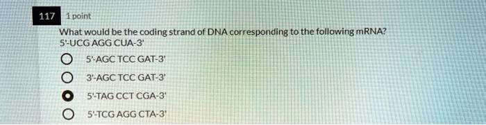 SOLVED: 117 1 point What would be the coding strand of DNA ...