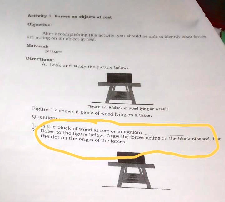 Activity 1. Forces on objects at rest Objective: After accomplishing ...