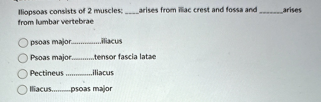 iliopsoas consists of 2 muscles arises from iliac crest and fossa and ...
