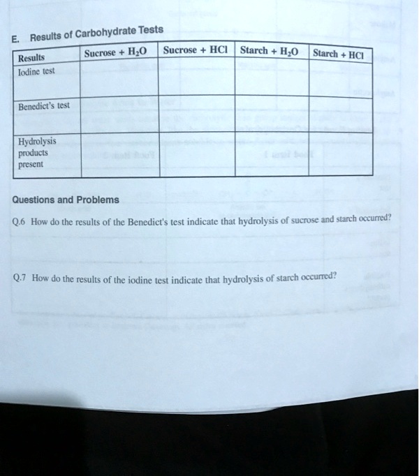Sucrose Hydrolysis Test