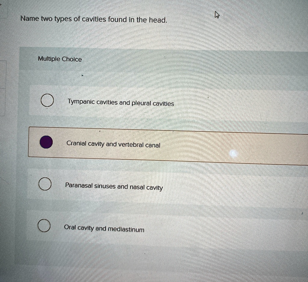 name two types of cavities found in the head multiple choice tympanic cavities and pleural ...