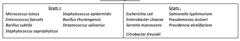 VIDEO solution: Gram-positive: Micrococcus luteus, Staphylococcus ...