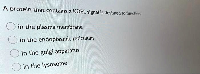 a protein that contains a kdel signal is destined to function in the ...