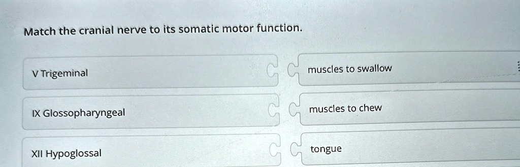 Match the cranial nerve to its somatic motor function. V Trigeminal IX Glossopharyngeal XII ...
