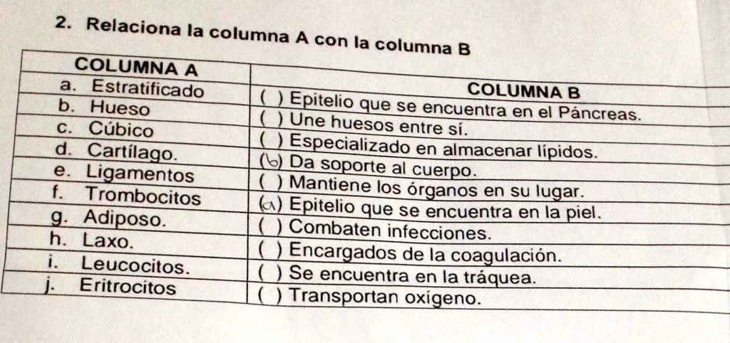relaciona la columna a con la columna b pliss ayuda 2 relaciona la ...