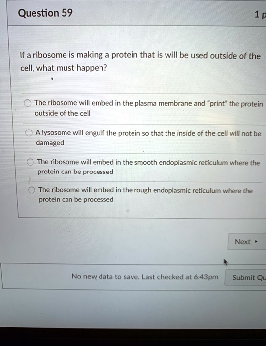 SOLVED: Question 59 Ifa ribosome is making protein that is will be used outside of the cell ...