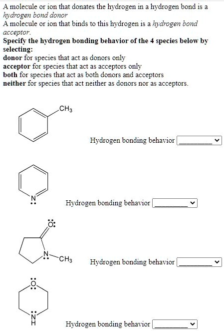 SOLVED:molecule or ion that donates the hydrogen hydrogen bond is ...